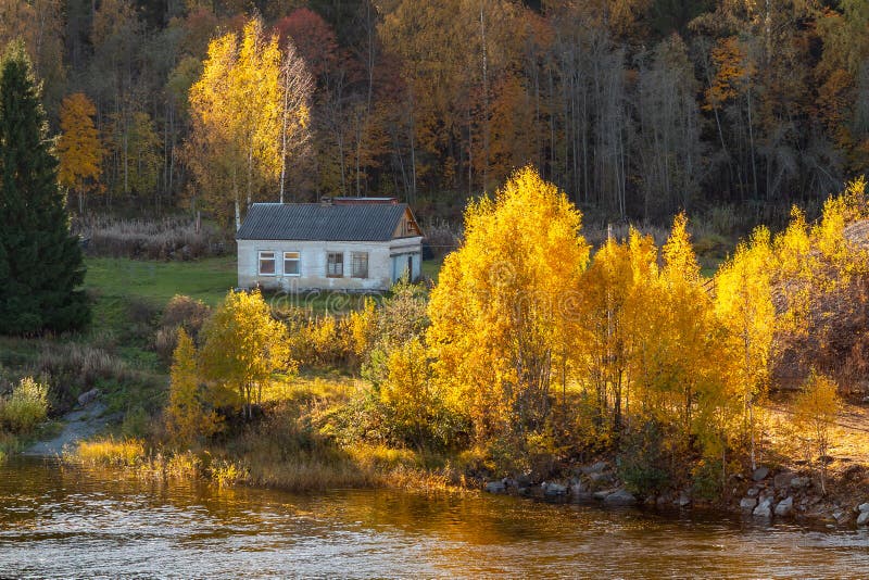 Small House on the River Bank Surrounded by Autumn Forest. Autumn ...