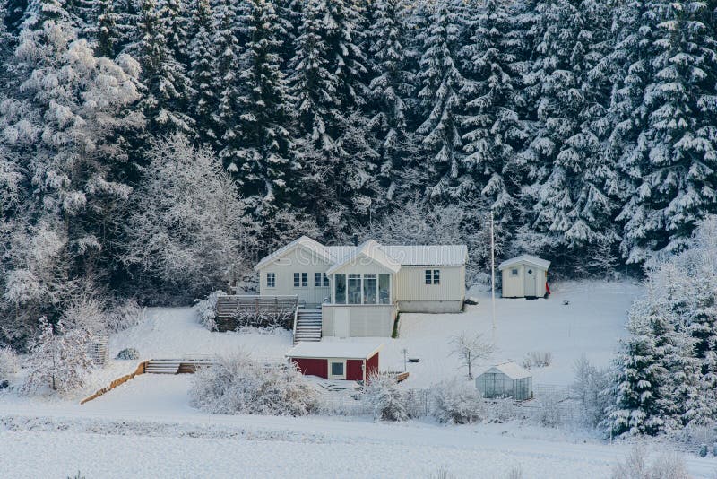 Small House in a Tiny Clearing in a Forest.. Stock Photo - Image of ...