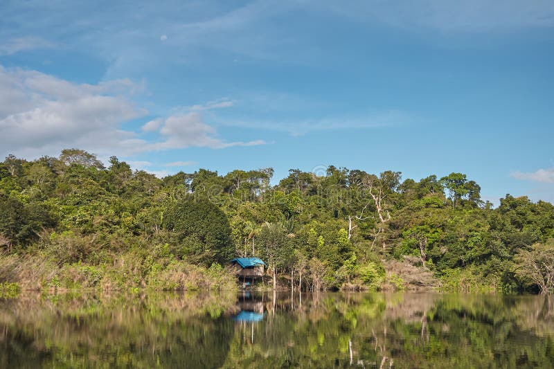 Small Hut on the Amazon River Stock Photo - Image of horizontal ...