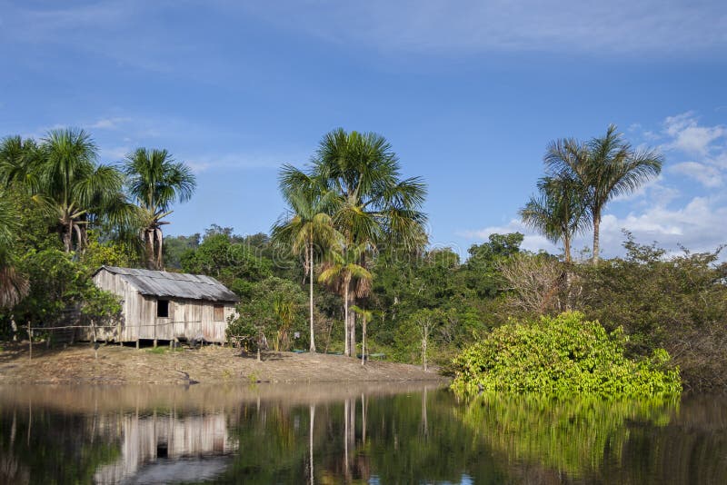 Small Hut on the Amazon River Stock Photo - Image of bush, beach: 34496304