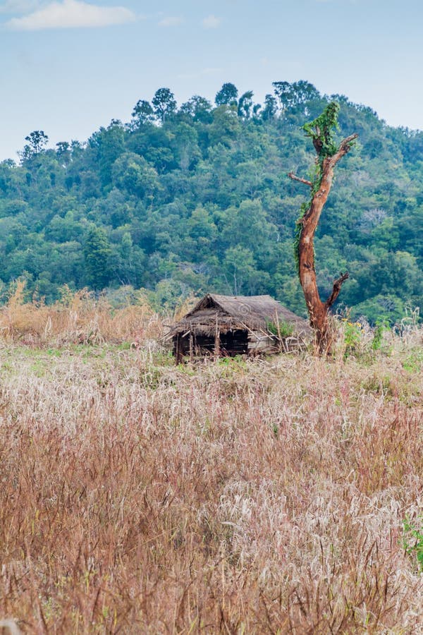 Small Hut in Fields Near Hsipaw, Myanm Stock Photo - Image of ...