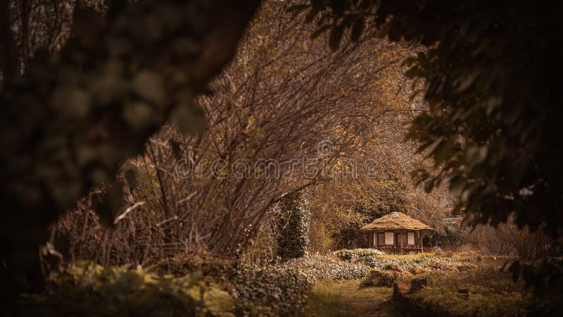 Small Hut in the Forest in Autumn Stock Photo - Image of trees ...