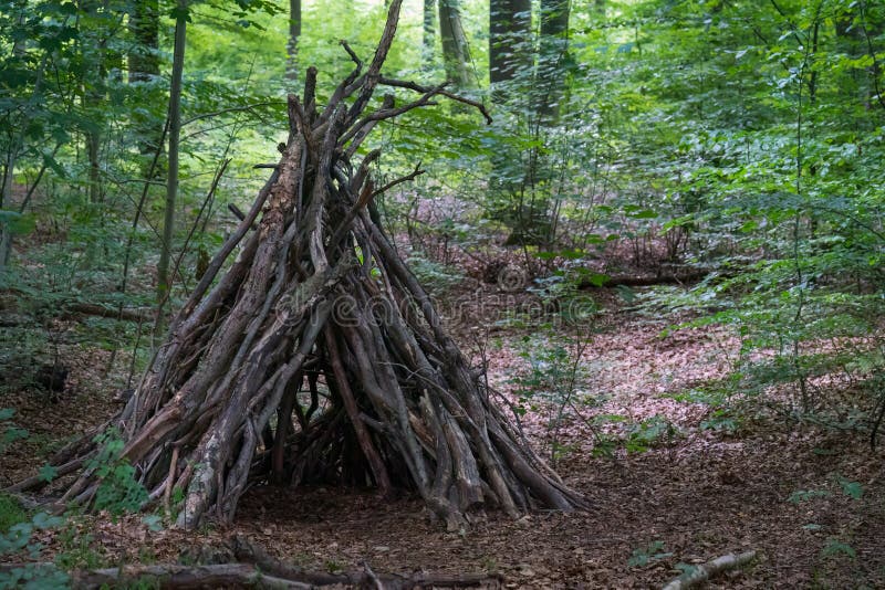 Small hut in the forest stock image. Image of environment - 254145633
