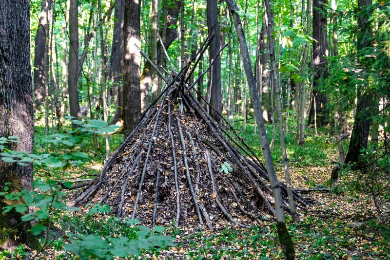 Small Hut in the Forest Made Out of Branches by Playing Children Stock ...