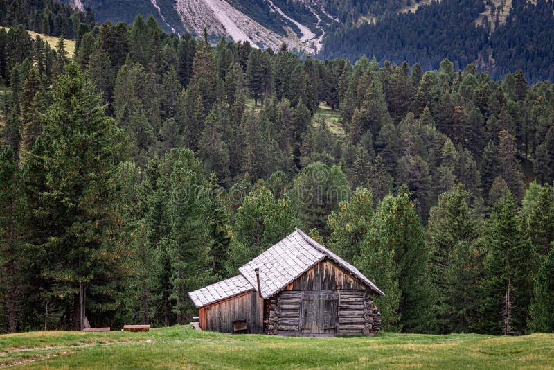 Small Hut in Forest Near Passo Delle Erbe, Dolomites Stock Photo ...