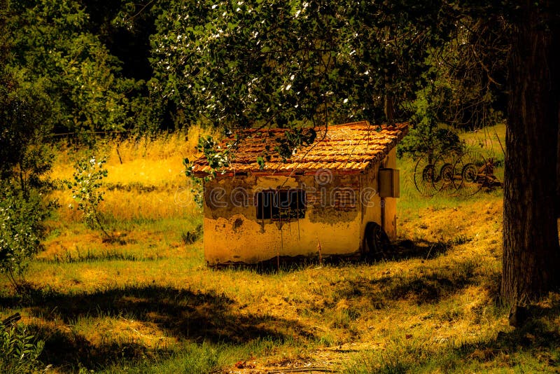Small Hut in a Forest in Tuscany Stock Image - Image of field ...