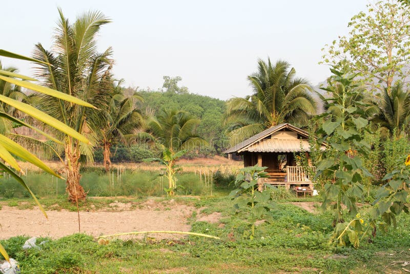 The Small Hut in the Garden. Stock Image - Image of path, botanical ...