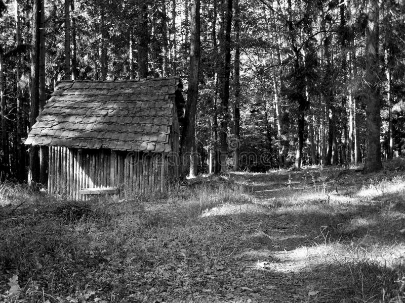 Small Hut in the Middle of Forest Stock Image - Image of forest, cabin ...