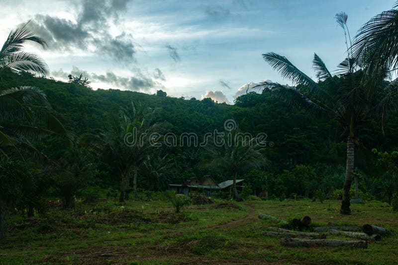 Small Hut in the Middle of Forests and Mountains Stock Photo - Image of ...