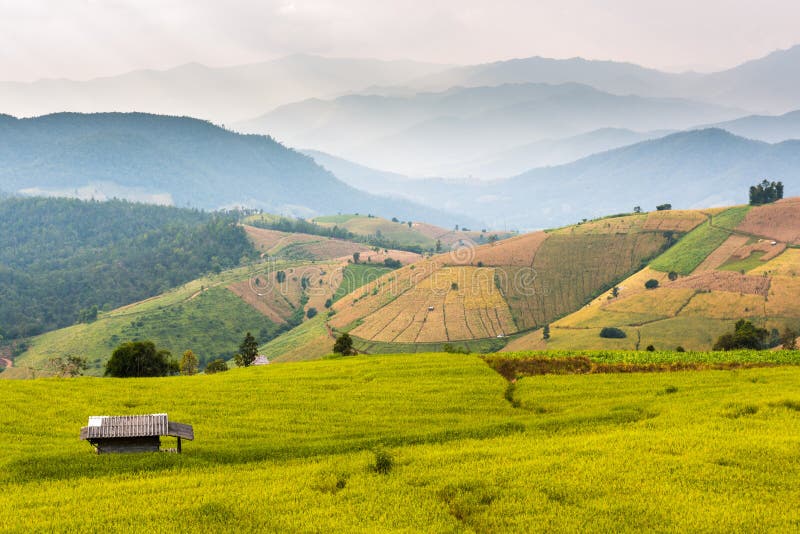 Small Hut, Rice Fields and Mountain at Bongpieng Village Stock Photo ...