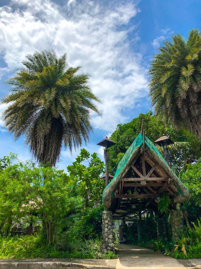 The Small Hut Under the Tree Stock Image - Image of backyard, garden ...