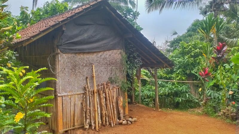 Small hut at the village stock photo. Image of village - 282596666