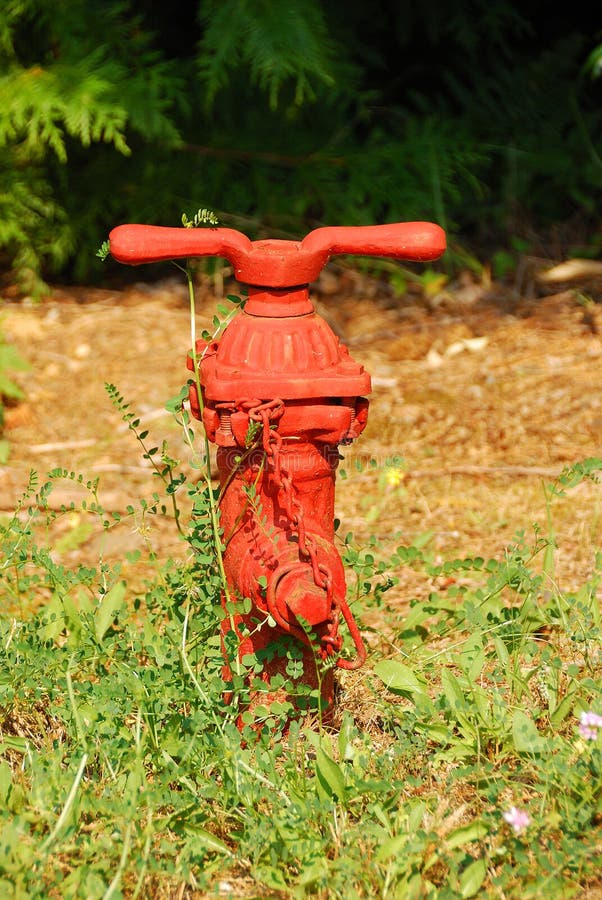 Fire Hydrant stock image. Image of protection, extinguisher - 25020969