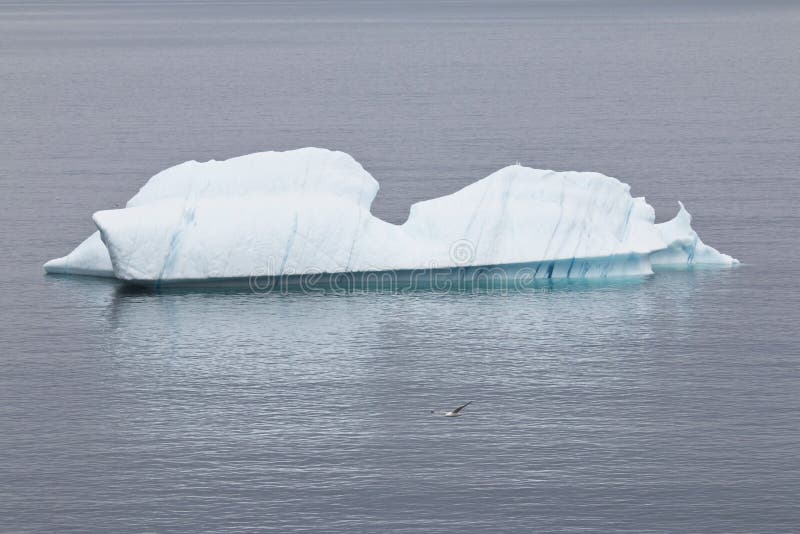 Small Iceberg in the Water Near the Antarctic Islands are Sitting Gulls ...