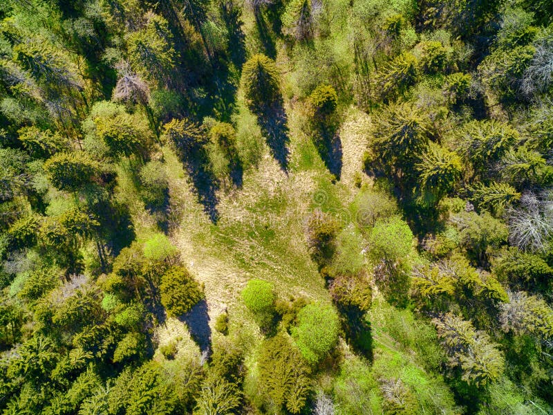 Small Idyllic Hidden Forest Glade Aerial View Stock Photo - Image of ...