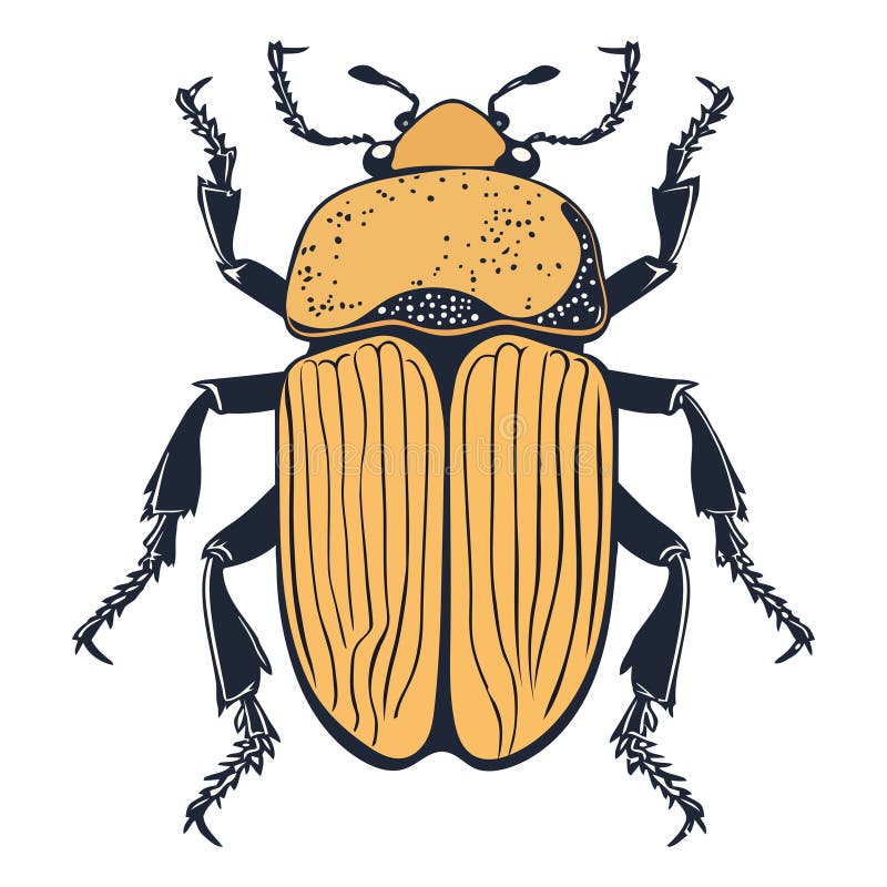 Crawling Insects Stock Illustrations – 760 Crawling Insects Stock ...