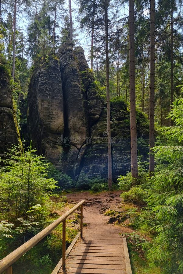 A Small Interesting Hiking Trail in the Forest in the Highlands. Stock ...