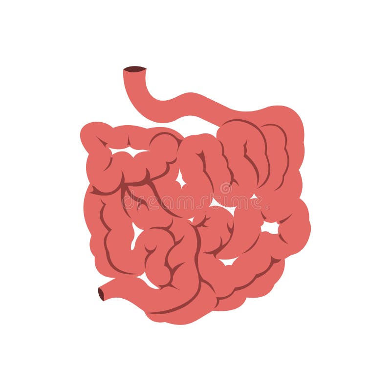 Large Intestine Clipart