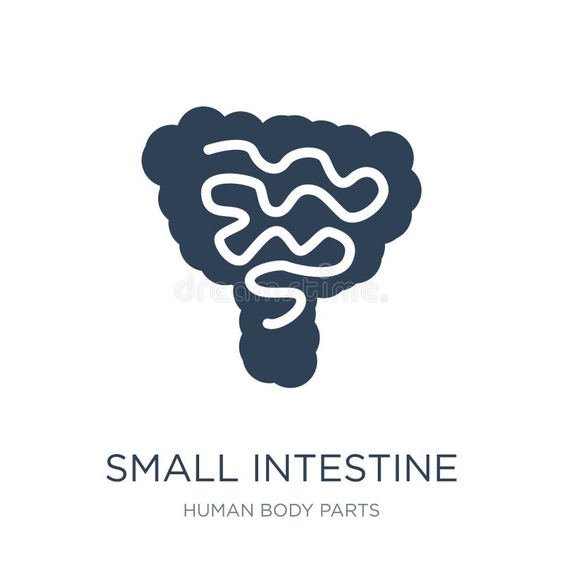 Small Intestine Icon in Trendy Design Style. Small Intestine Icon ... Small Intestine Icon in Trendy Design Style. Small Intestine Icon ...