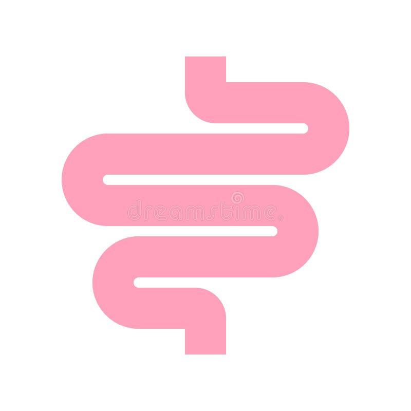 Small Intestine Vector Illustration, Organ Icon Set Stock Vector ...