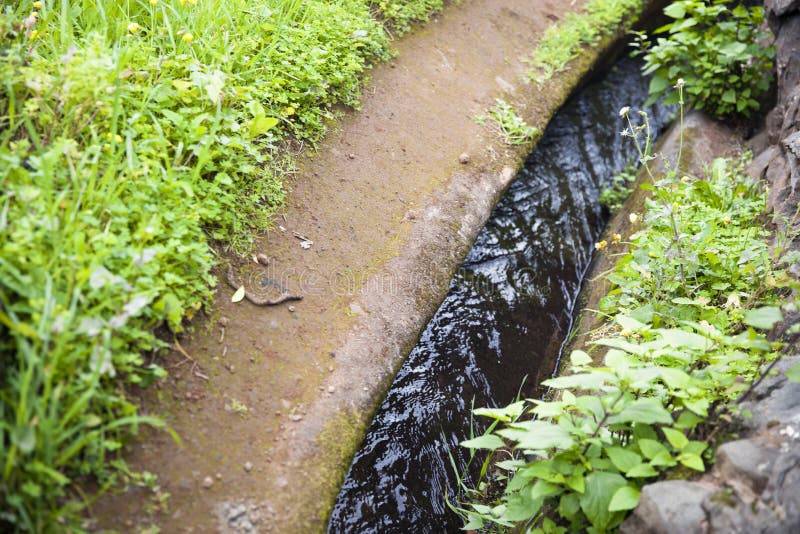Small irrigation canal stock image. Image of rich, small - 51470433