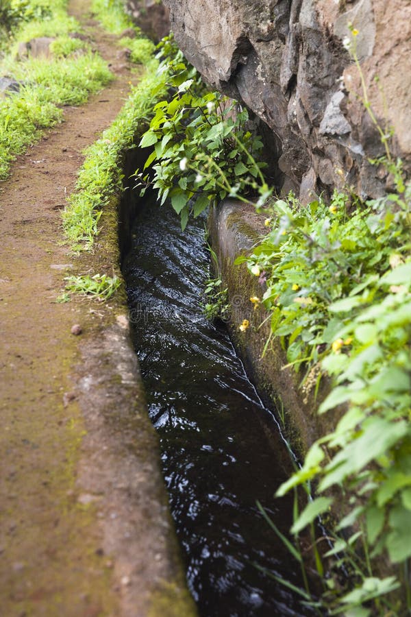 Small Irrigation Channel at the Farmland Stock Image - Image of farm ...