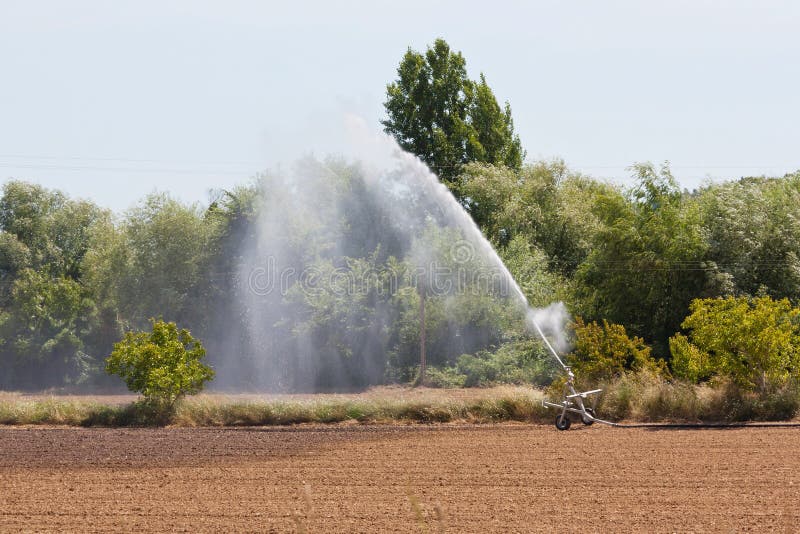 Small Irrigation Equipment on a Plantation. Stock Photo - Image of ...