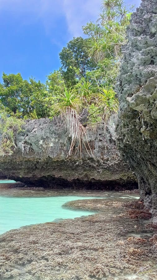 Small Island with Beautiful Cliffs and Plants Stock Photo - Image of ...