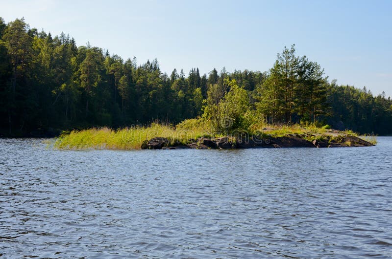 Small Island in Forest Lake on a Clear Sunny Day Stock Photo - Image of ...