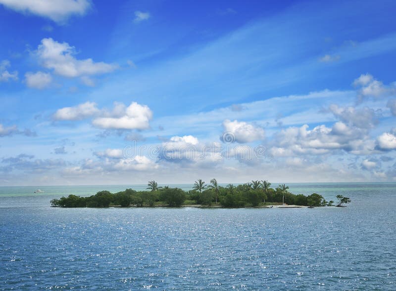 Small Island in the Middle of the Ocean with Trees and Plants on it ...