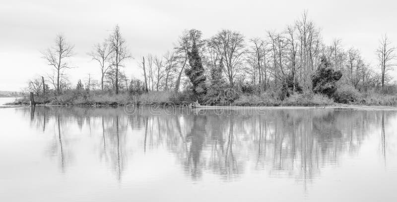 Small Island in River Environment in High Key Image Stock Image - Image ...