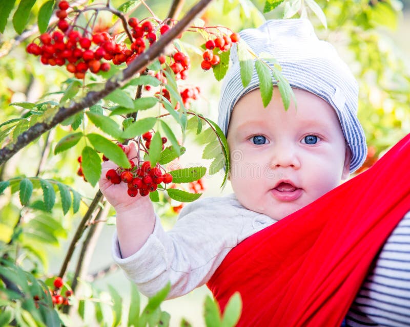 Small kid in fall park stock photo. Image of childhood - 96750882