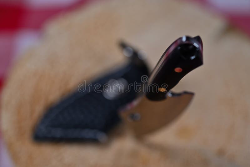 Small kitchen knife stock image. Image of kitchen, table - 310657031