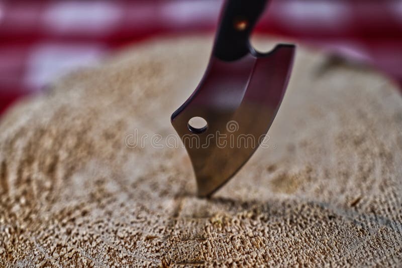 Small kitchen knife stock photo. Image of organ, knife - 310657110
