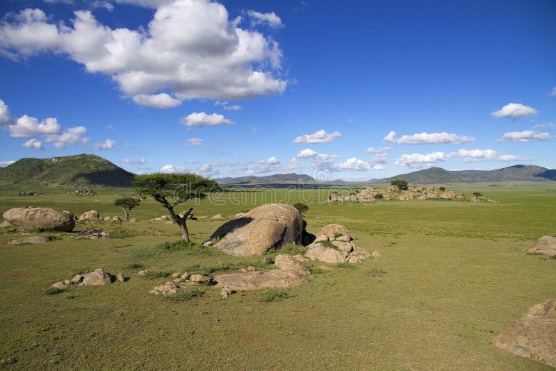 Landscape W/ Kopje - Serengeti (Tanzania, Africa) Stock Image - Image ...