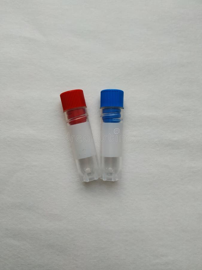 Laboratory Test Tubes. Micro Tubes for PCR. Stock Photo - Image of ...