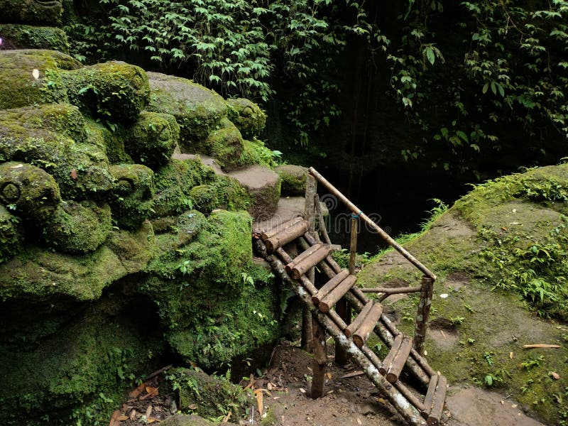 A Small Ladder Made of Wood in the Middle of the Forest. Stock Image ...