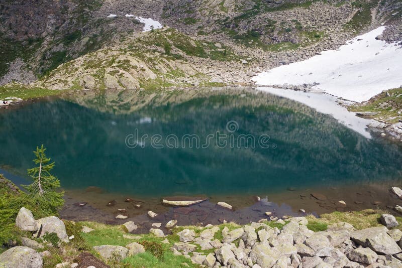 Small lake stock photo. Image of natural, beautiful, green - 12468322