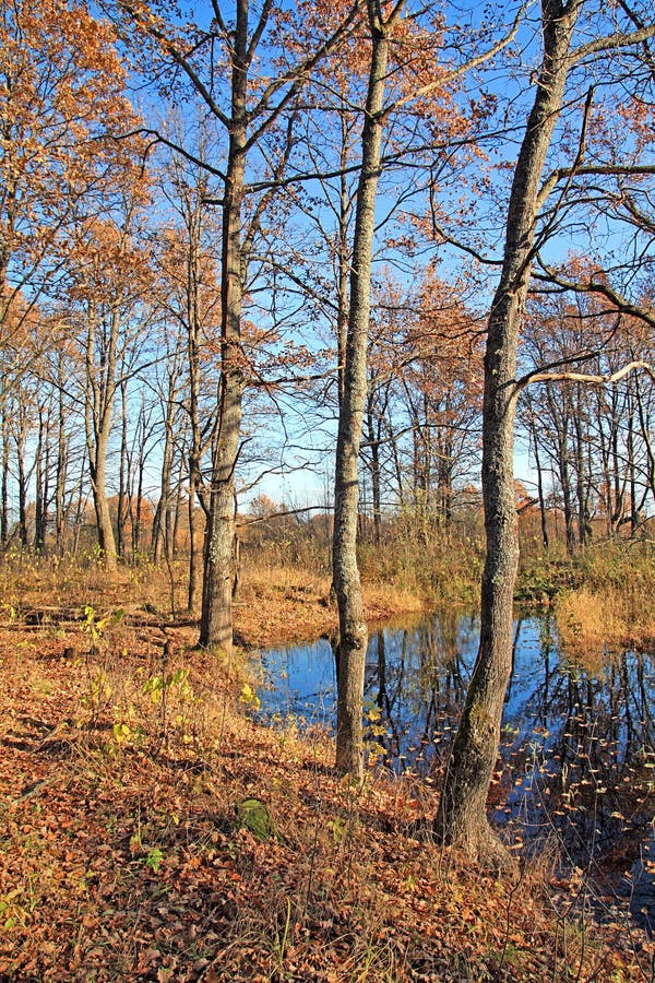 Small lake stock photo. Image of lake, lane, multi, earth - 12741968