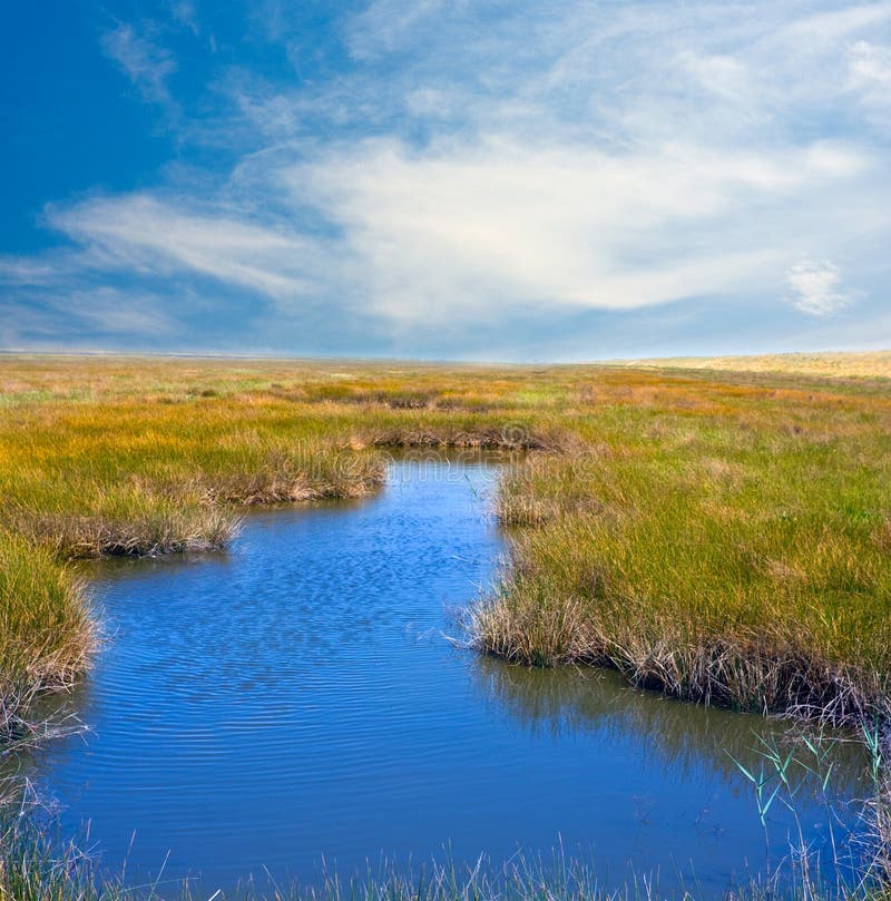 Small lake stock image. Image of fresh, reed, beauty - 14767077