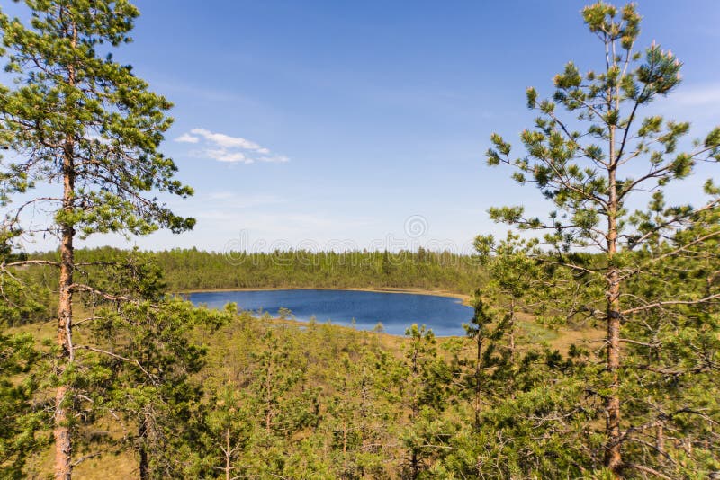 A small lake stock image. Image of color, pine, nature - 37986691