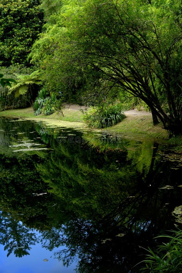 Small lake stock image. Image of peace, peaceful, azores - 6787137
