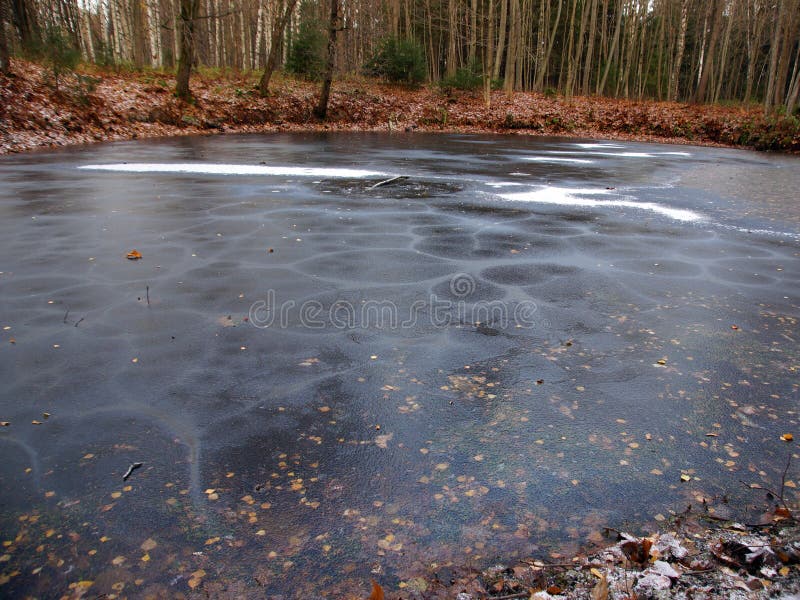Small Lake Covered with Ice with Fallen Leaves Frozen Inside Stock ...