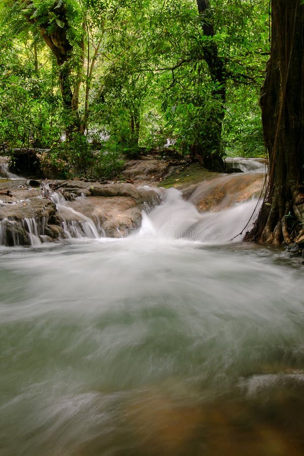 Small Lake Created from River Flow in Tropical Forest. Editorial Stock ...