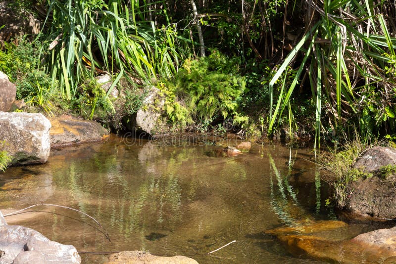 A Small Lake with Crystal Clear Water Stock Image - Image of beautiful ...