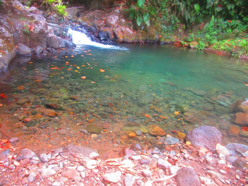 A Small Lake or Falls a Small Waterfall Stock Photo - Image of small ...