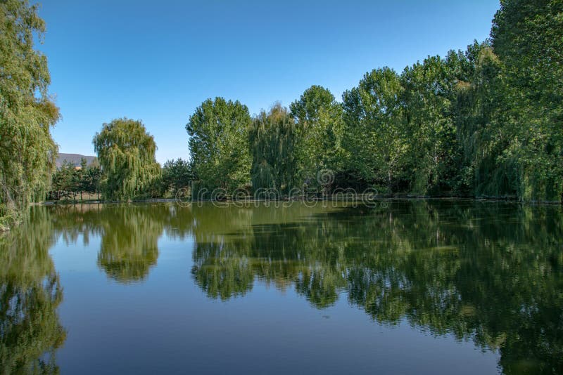 Small lake in the forest stock image. Image of blue - 196958123