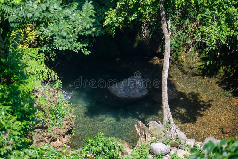 Small Lake in the Forest with Clear Water Stock Image - Image of ...