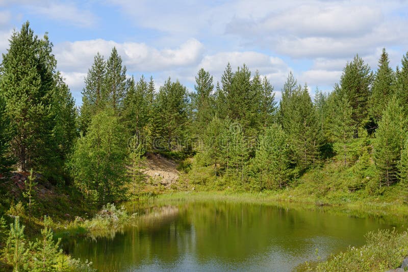 Small lake in the forest stock image. Image of landscape - 35411633
