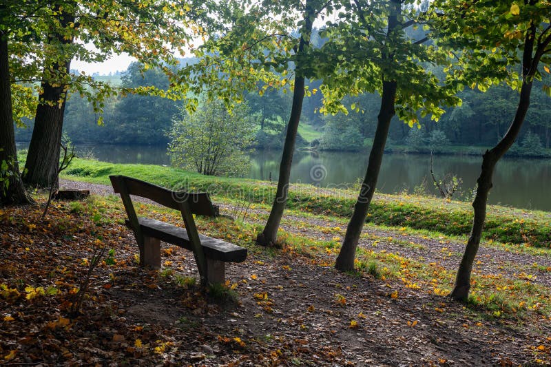Small Lake in the Forest with a Park Bench Stock Image - Image of ...